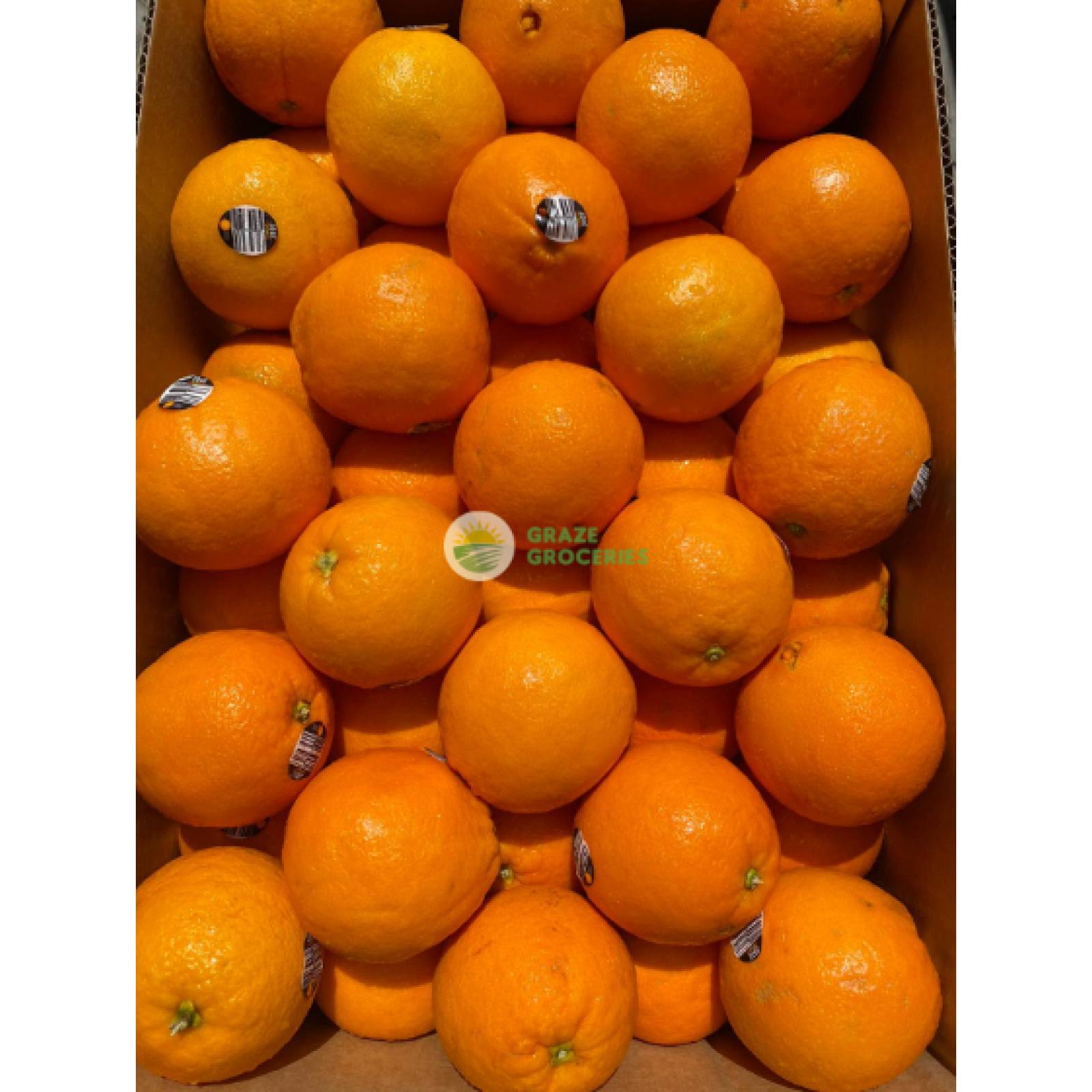 Australia Navel Oranges (Medium) 3107