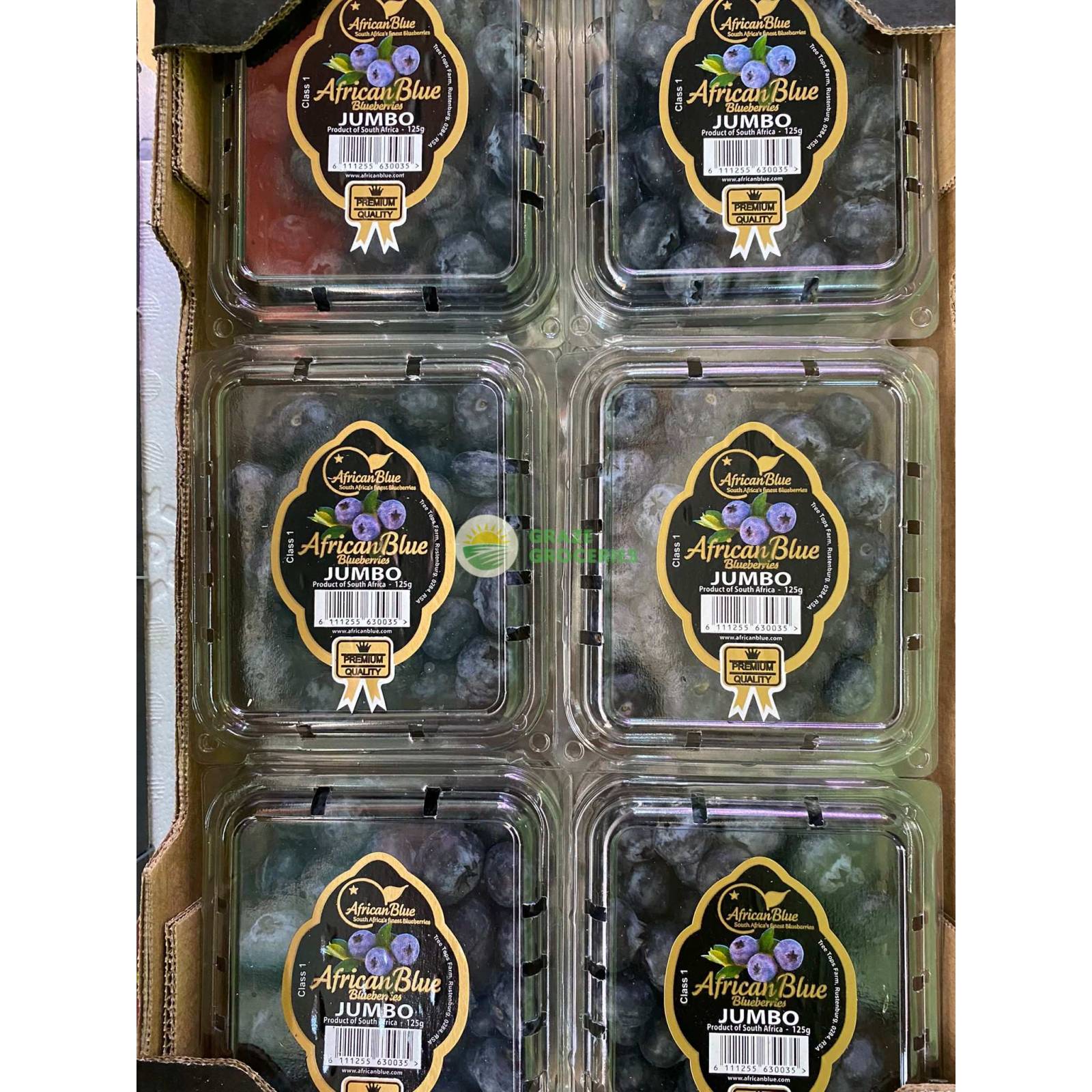 South Africa AFRICAN BLUE Jumbo Blueberries