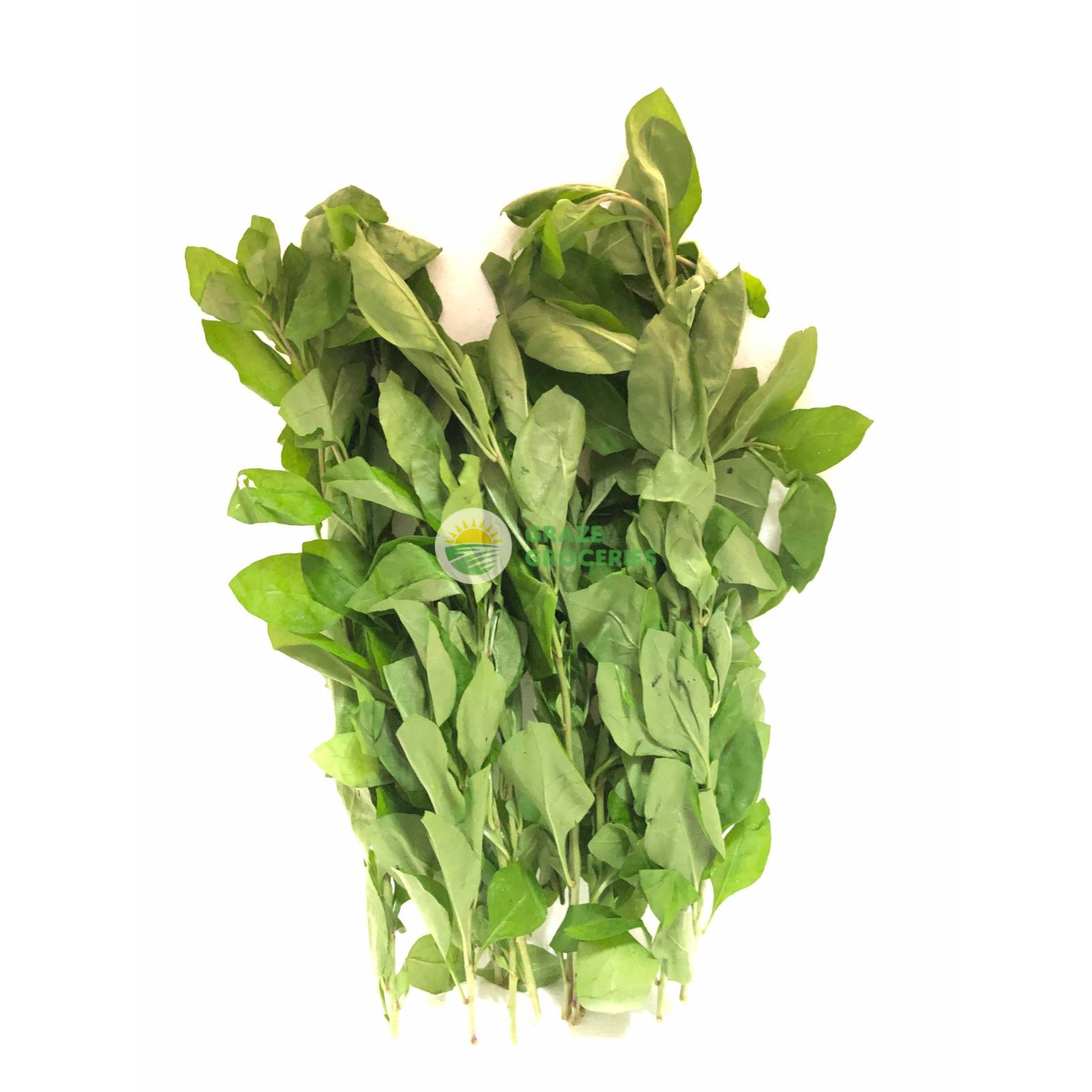 Wolfberry Leaves (九枝叶 枸杞菜)
